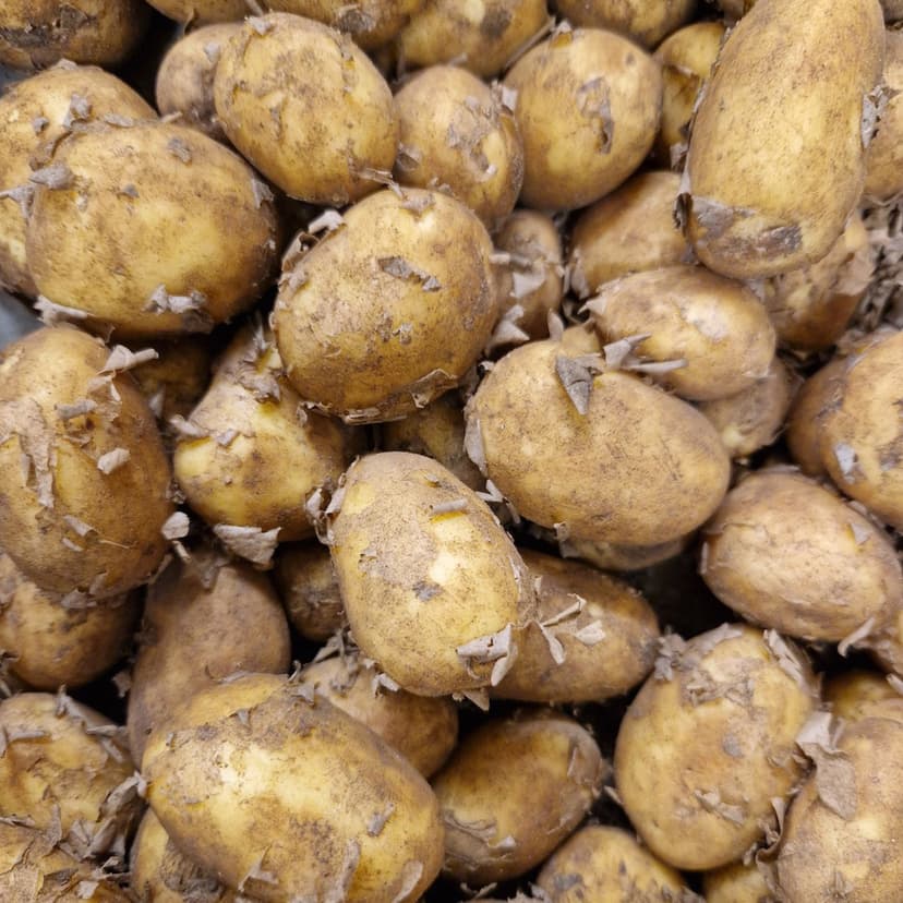 Shop local food | Pennine Cropshare - Pennines