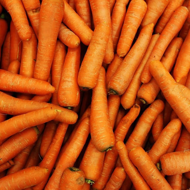 Shop local food | Pennine Cropshare - Pennines