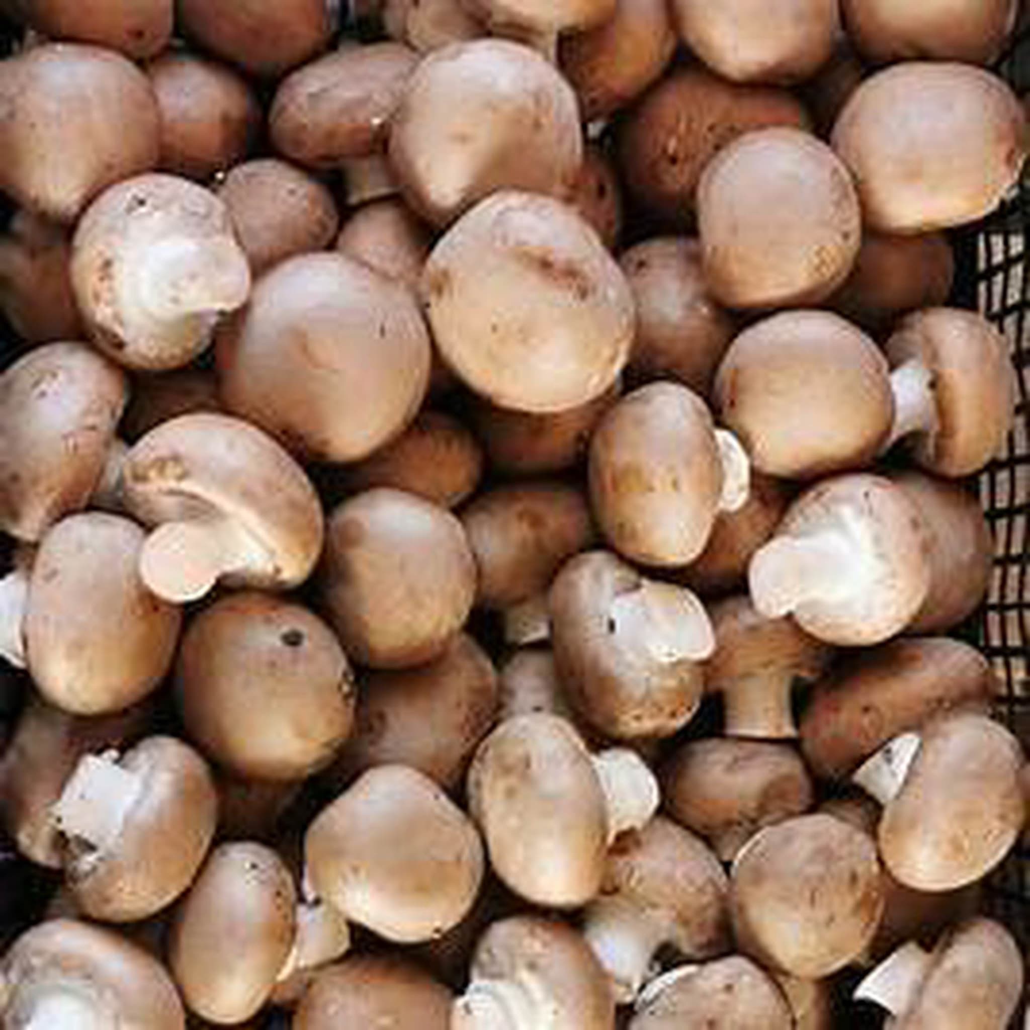 Shop local food | Pennine Cropshare - Pennines